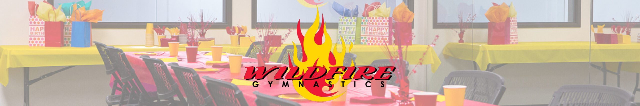 Birthday Parties – Wildfire Gymnastics